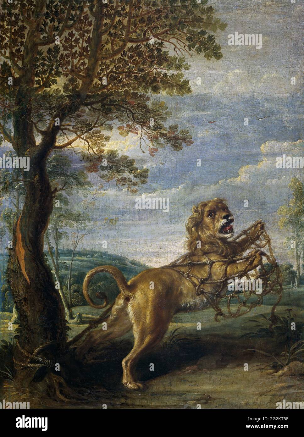 The fable of the lion and the mouse hi-res stock photography and images ...