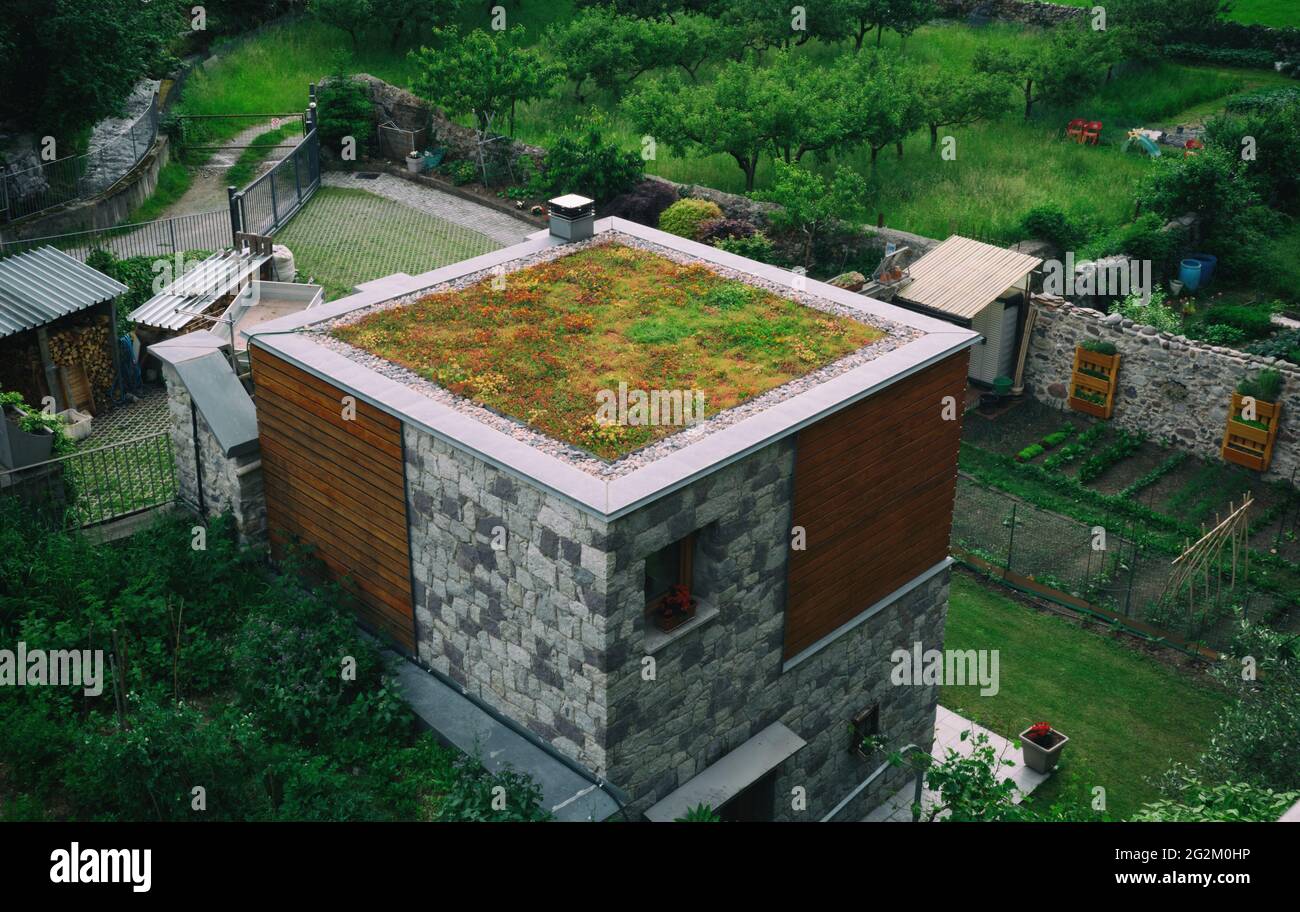 isometric view of modern house with plants on the roof and with gardens ...