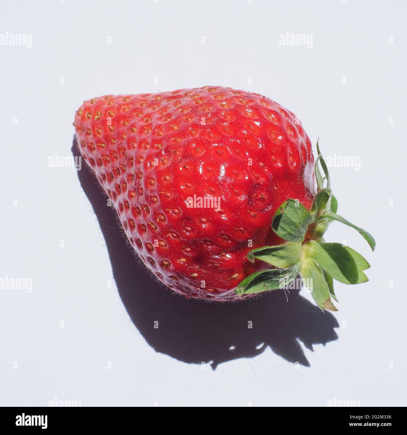 strawberry fruit over a white background with shadow Stock Photo - Alamy
