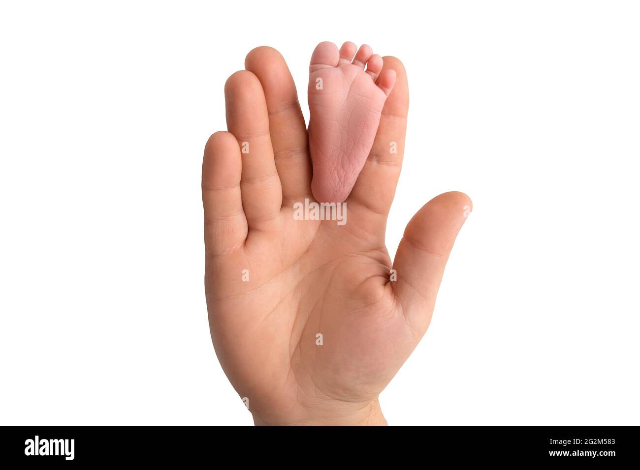 Baby feet in father's hand. The tiny foot of a newborn baby between the ...