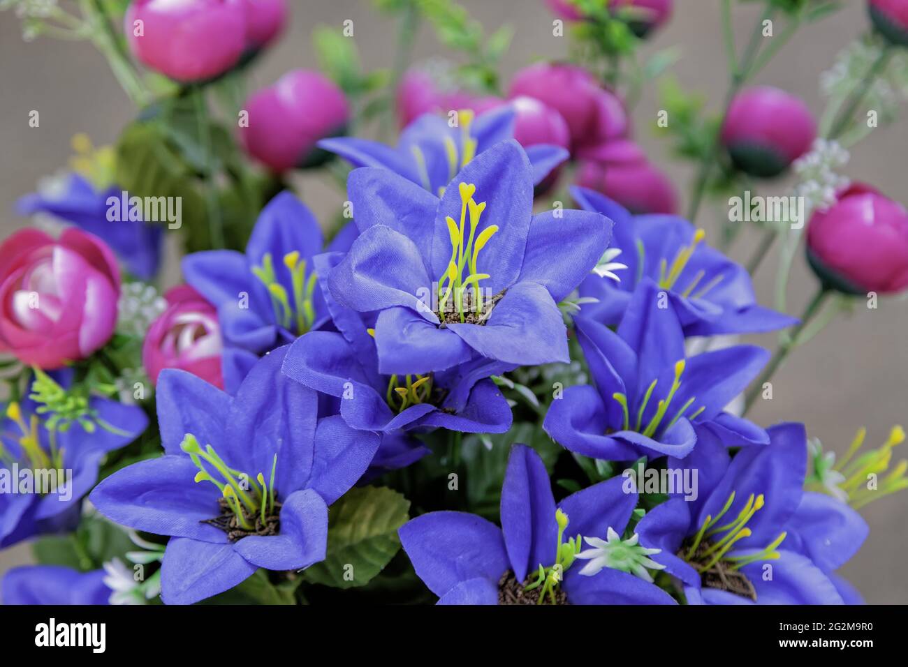 Fresh colorful hi-res stock photography and images - Alamy