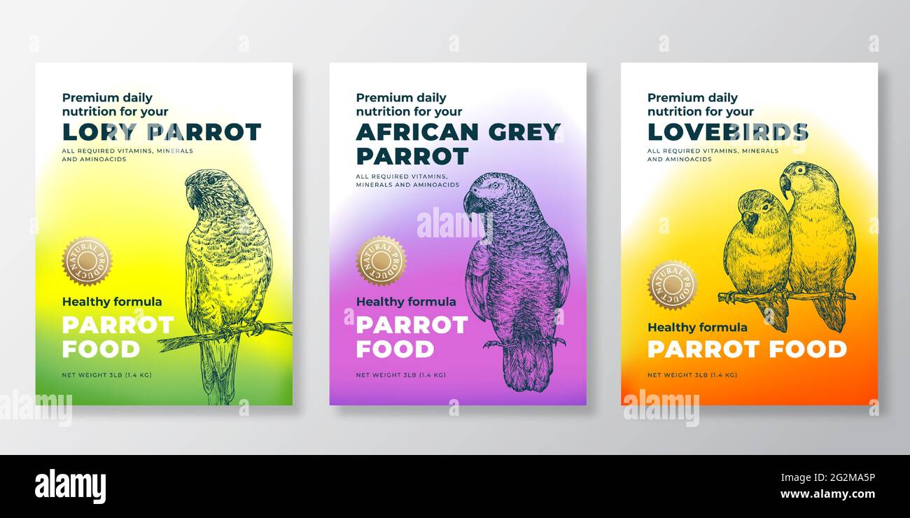 Pet Bird Food Product Label Templates Set. Abstract Vector Packaging ...