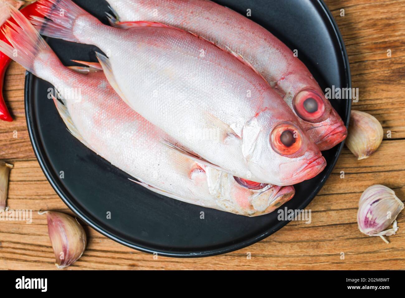 Bigeye fish hi-res stock photography and images - Alamy