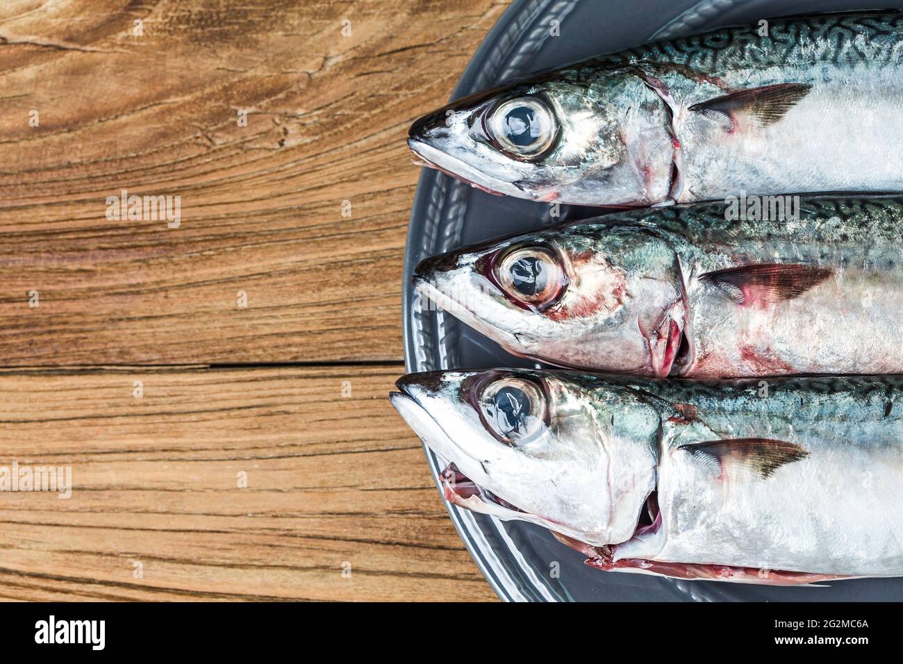 Fresh fish Mackerel Stock Photo - Alamy