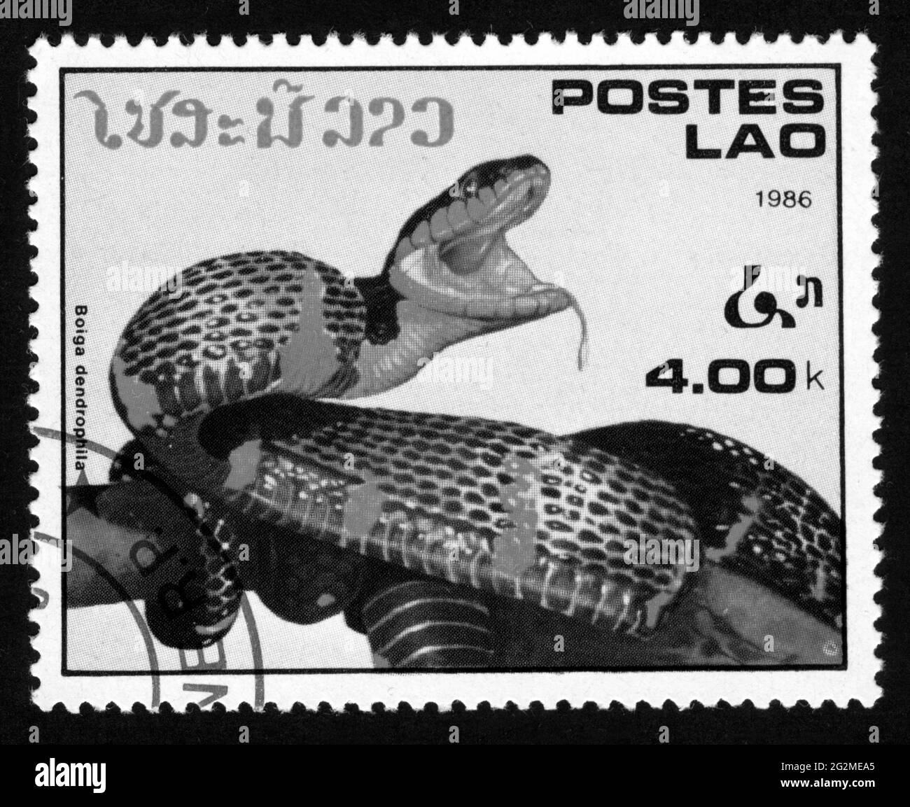 Snakes of laos Black and White Stock Photos & Images - Alamy
