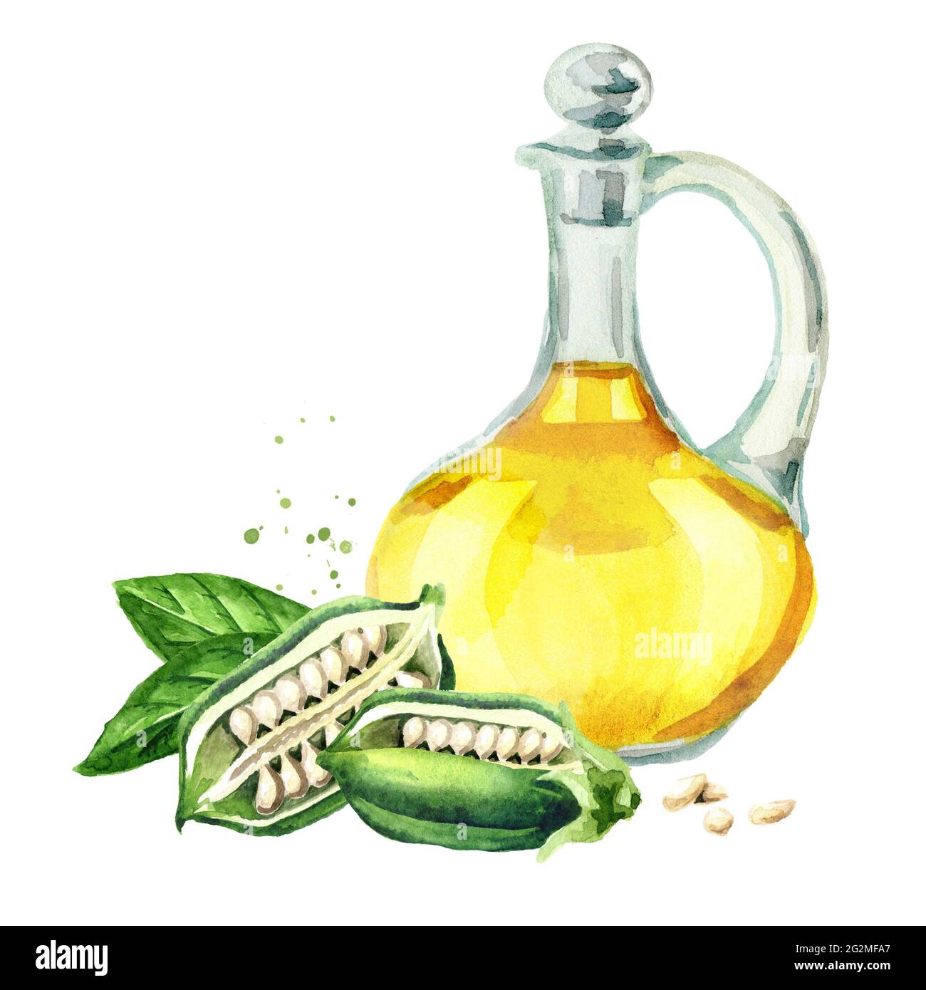 Fresh Sesame pods and bottle with oil. Watercolor hand drawn ...