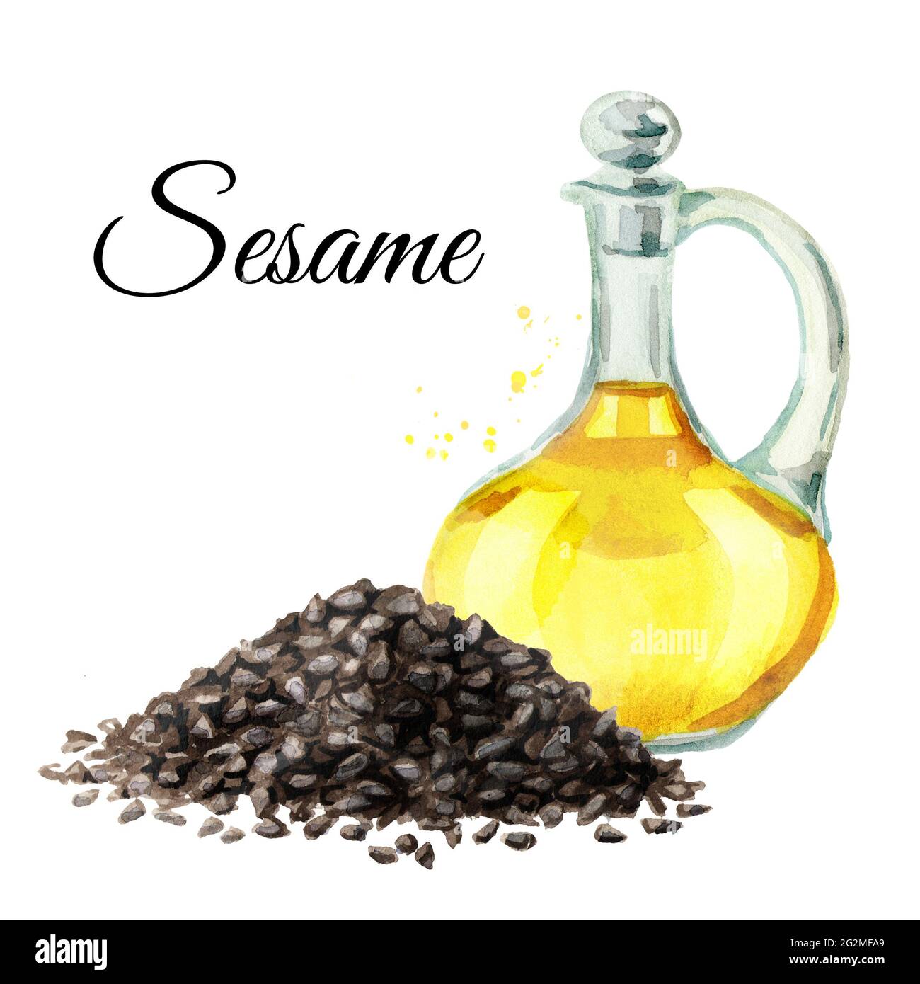 Sesame black seeds and bottle with oil. Watercolor hand drawn ...