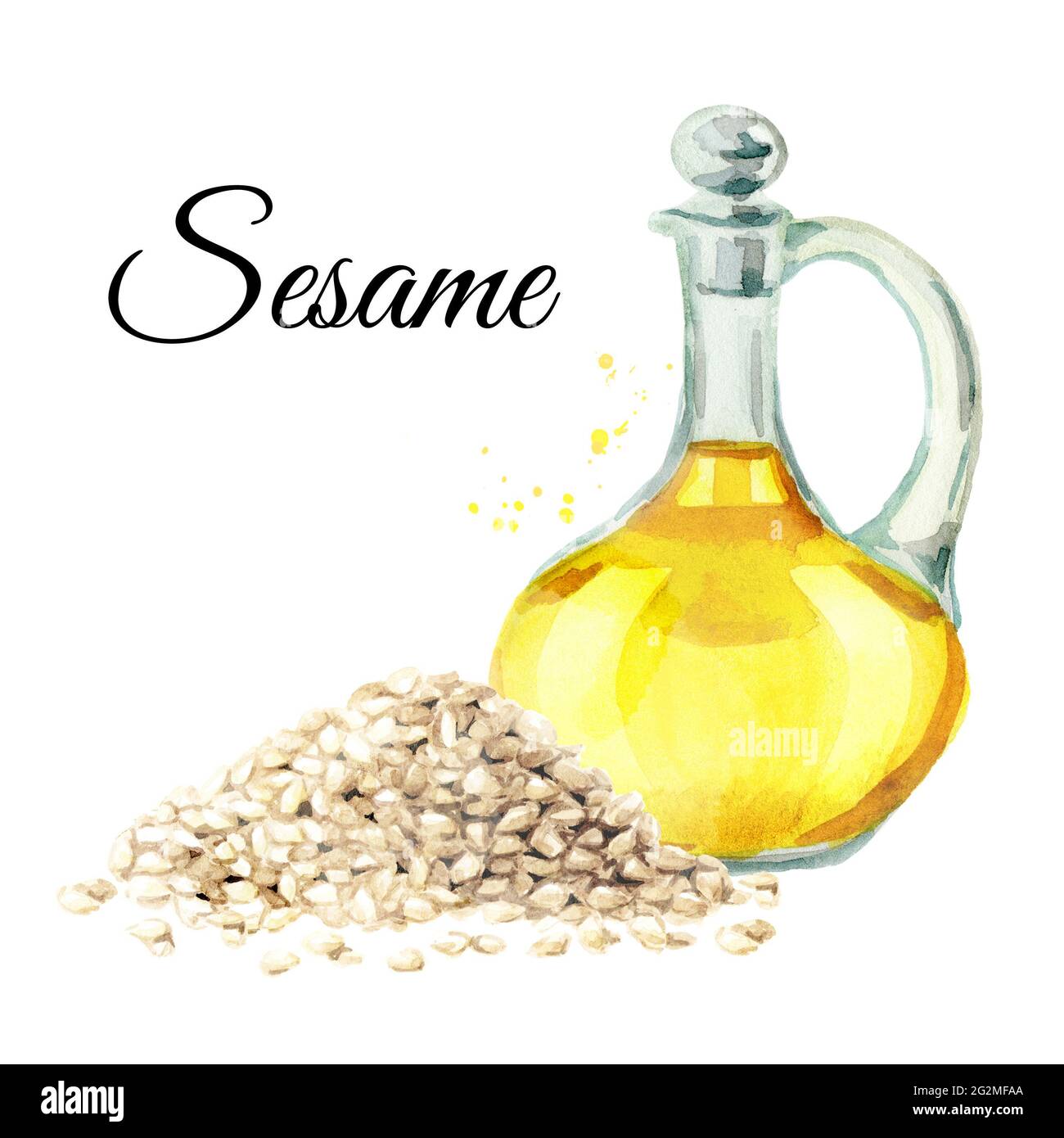 Sesame seeds and bottle with oil. Watercolor hand drawn illustration ...