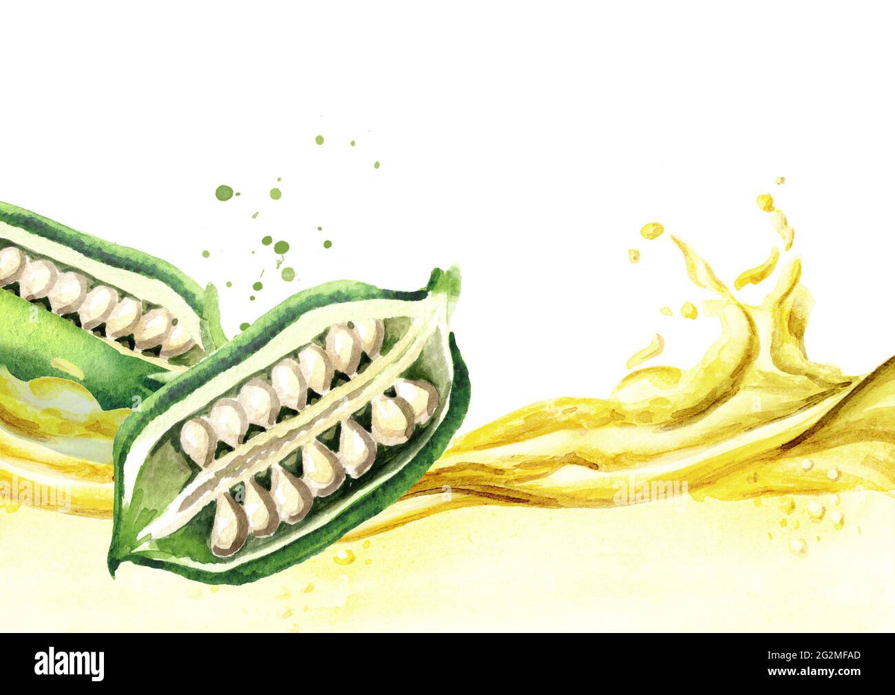 Sesame oil wave. Watercolor hand drawn illustration, isolated on white ...