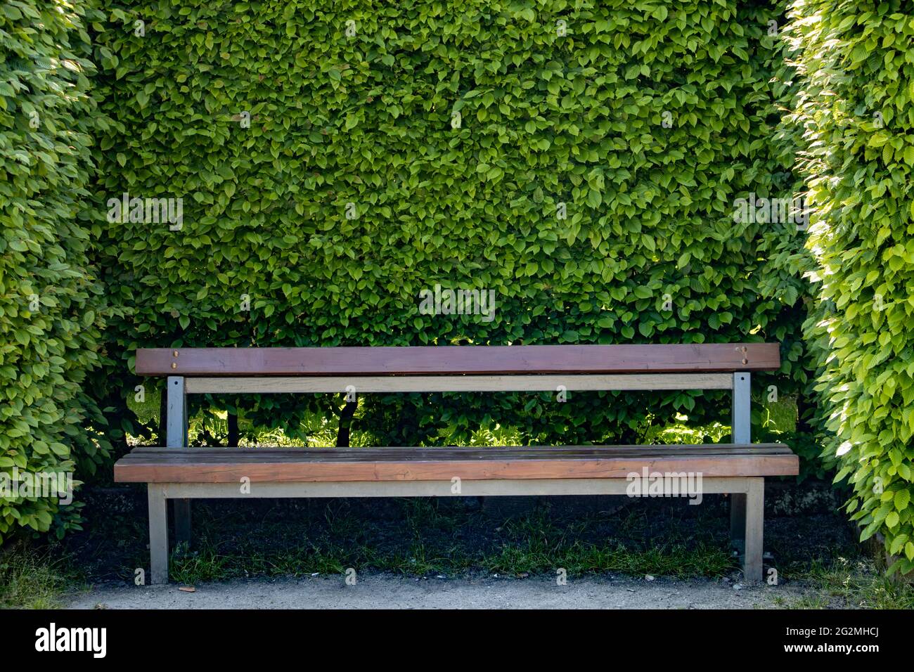 Empty park bench hi-res stock photography and images - Alamy