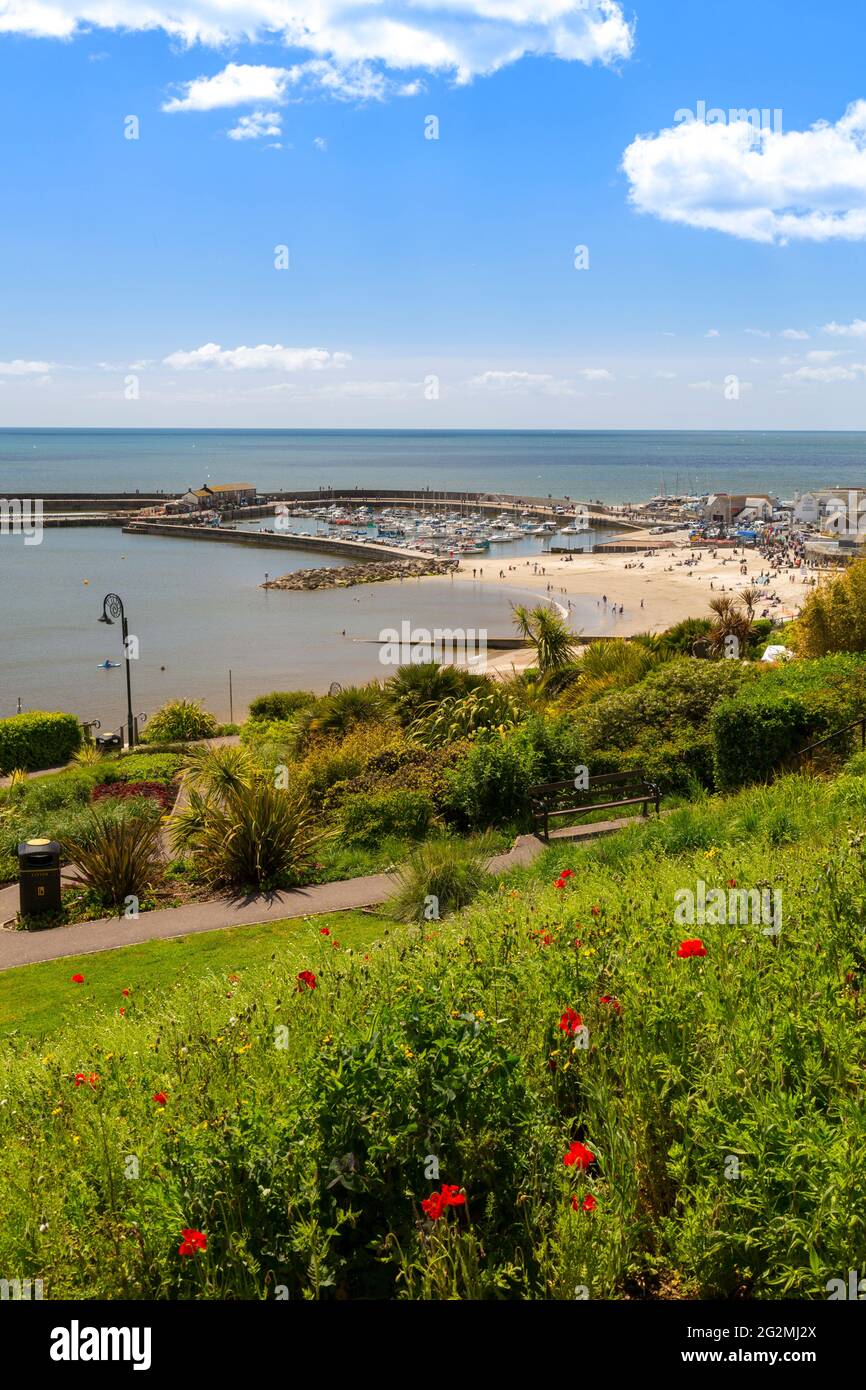 The harbour and beach at Lyme Regis, seen from the Langmoor and Lister ...