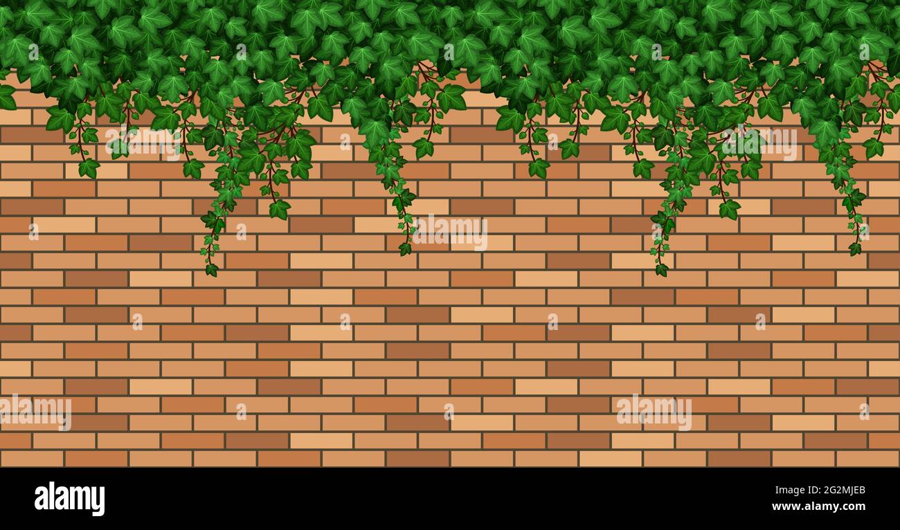 Birck wall with ivy leaves. Summer green ivy foliage on bricks ...