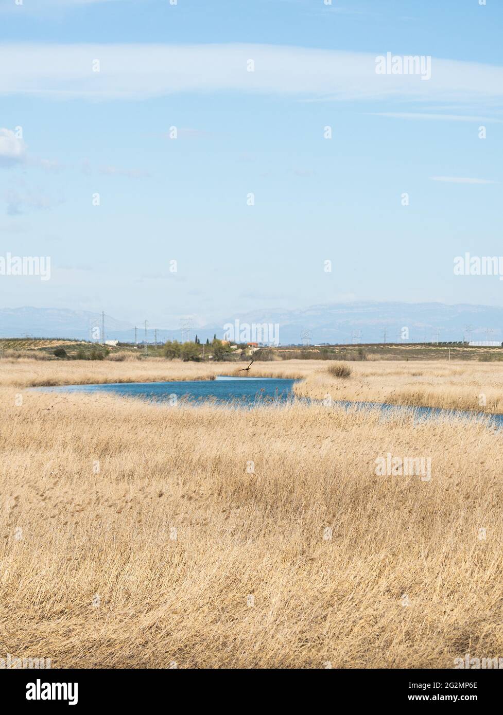 Lake with blue water and birds Stock Photo - Alamy
