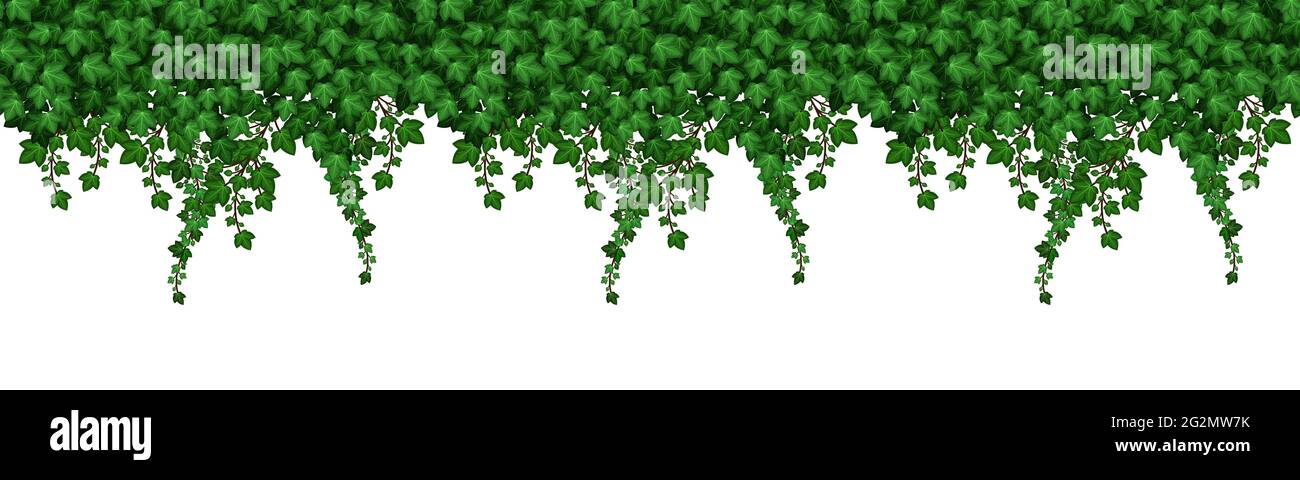 Green climber texture Stock Vector Images - Alamy
