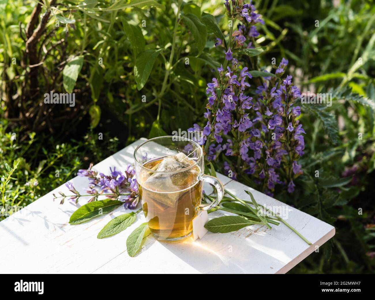 Salbei tea hi-res stock photography and images - Alamy