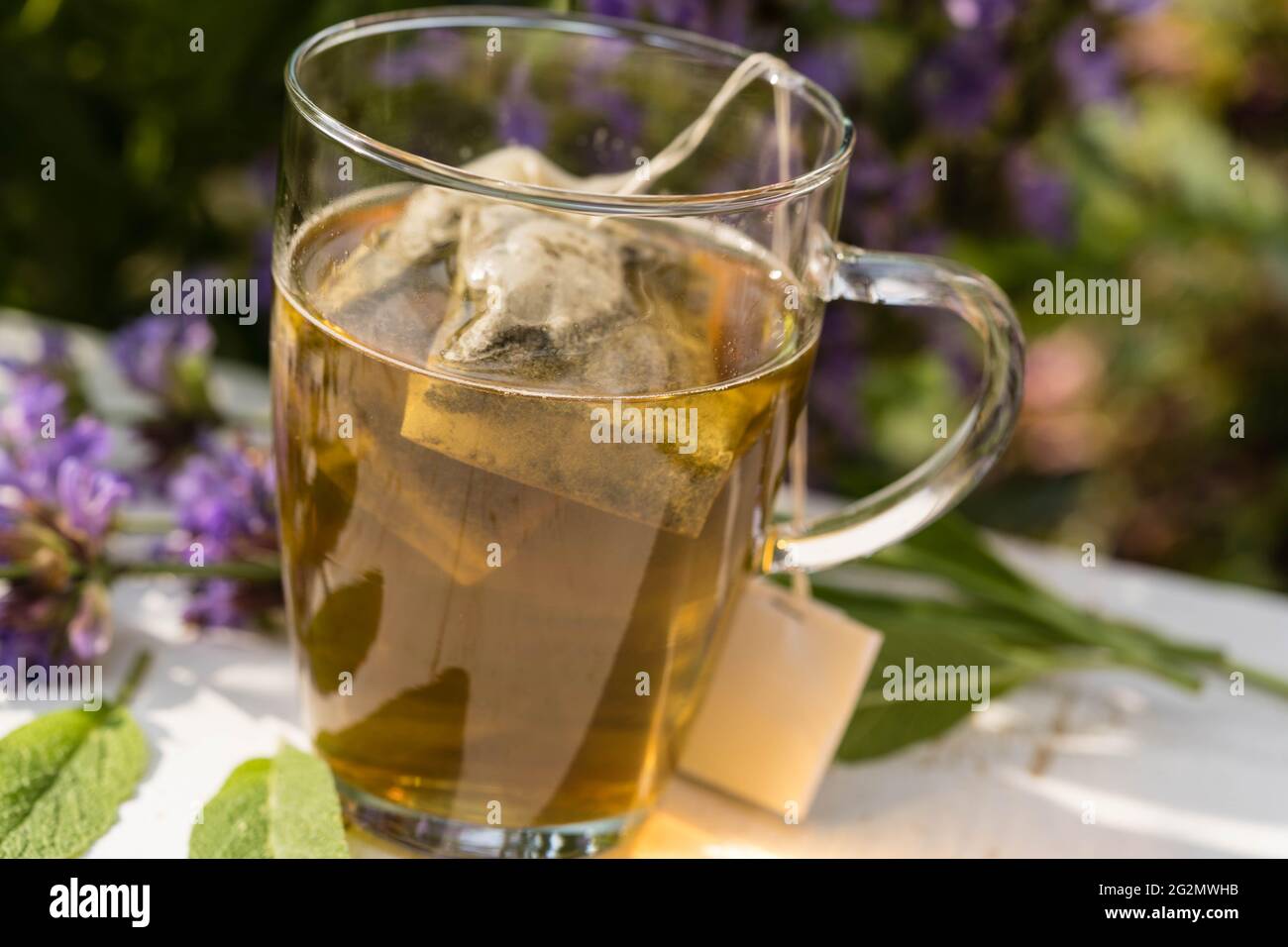 Salbei tea hi-res stock photography and images - Alamy