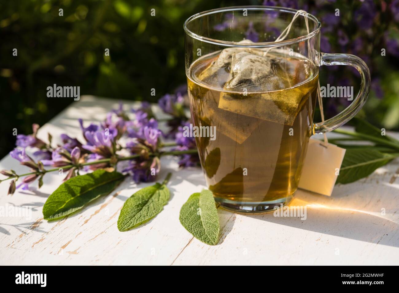 Salbei tea hi-res stock photography and images - Alamy