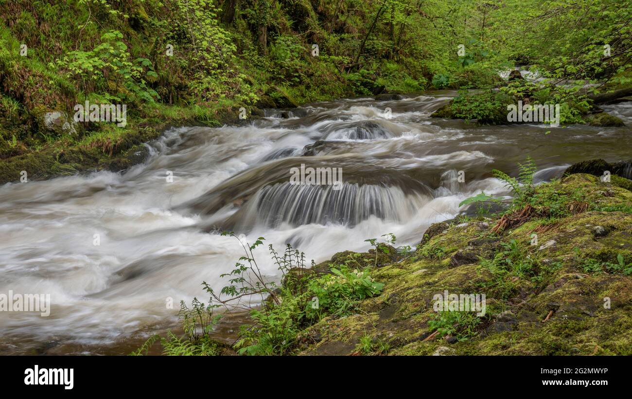 Beautiful Spring landscape image of Watrersmeet in Devon England where ...