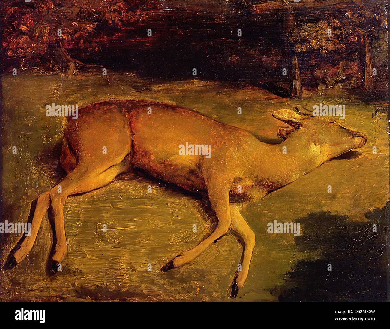 Gustave Courbet - Dead Doe 1857 Stock Photo - Alamy