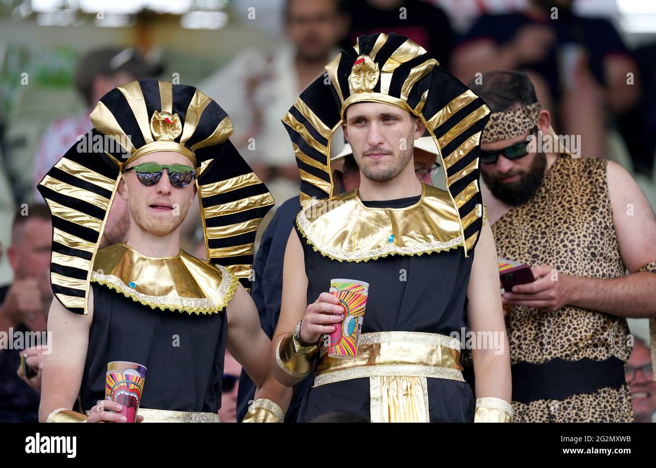 Cricket fancy dress fans hi-res stock photography and images - Alamy