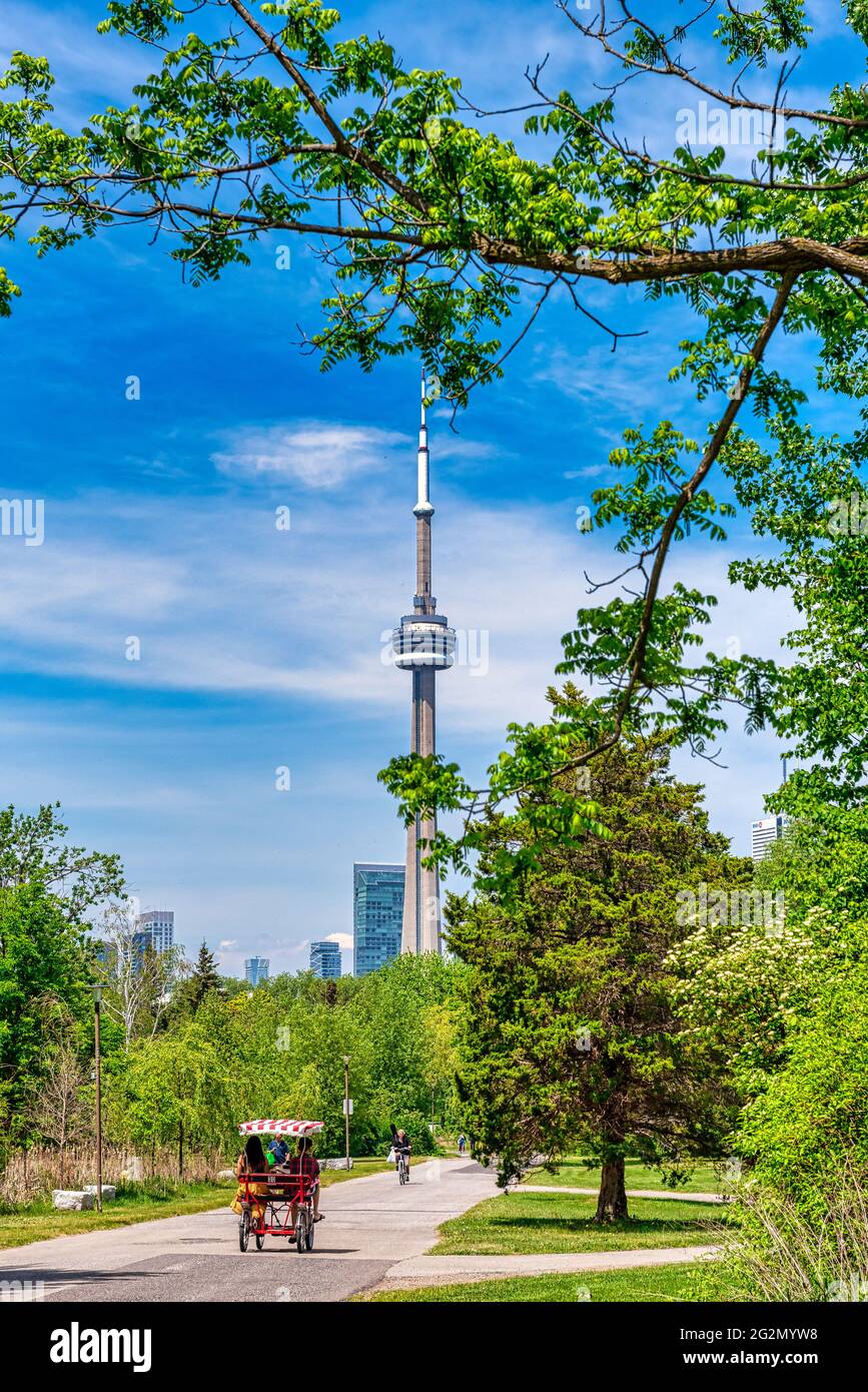 The CN Tower framed in the lush foliage seen in Hanlan island on the ...