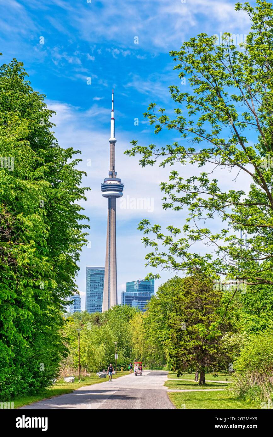 The CN Tower framed in the lush foliage seen in Hanlan island on the ...