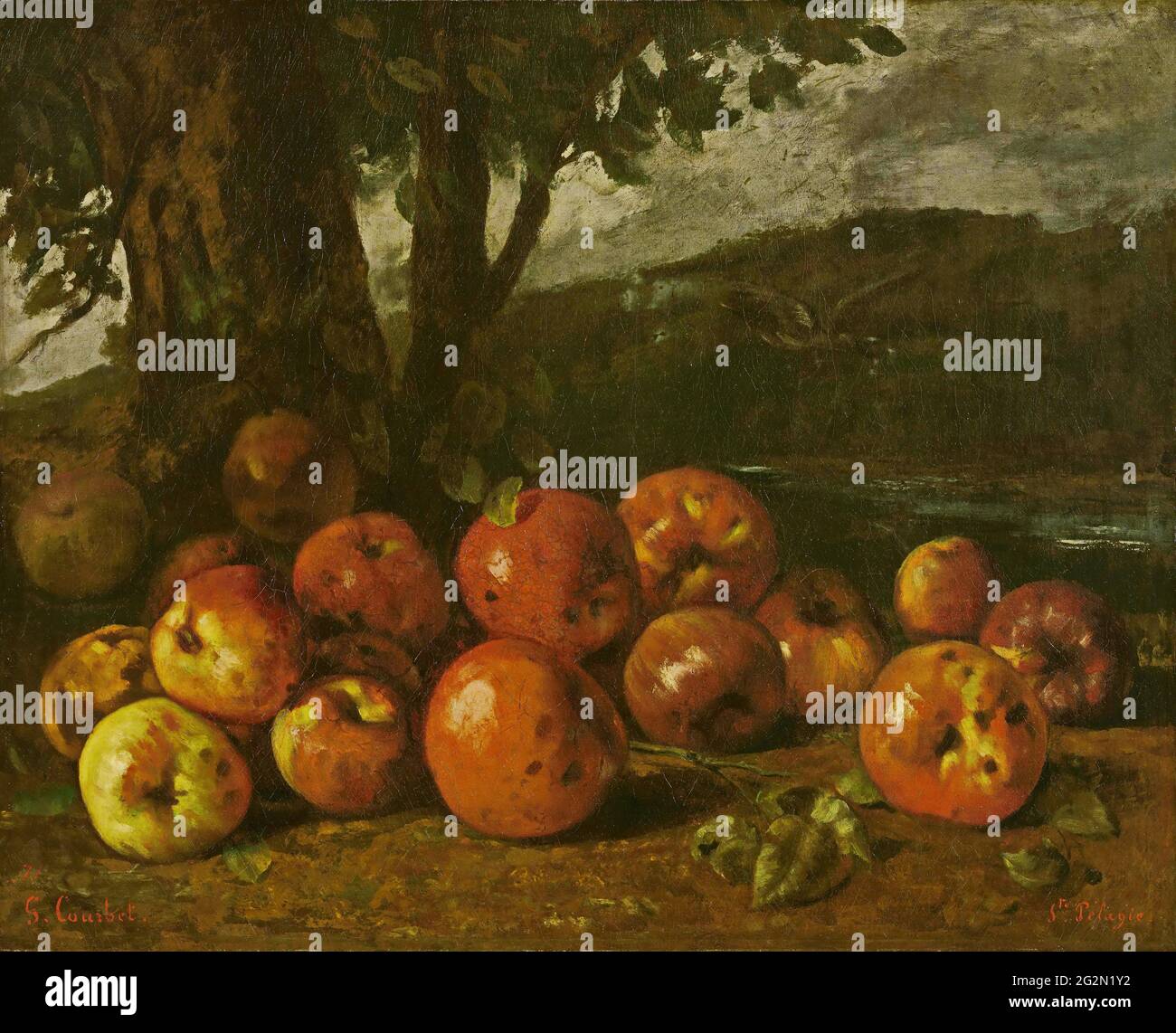 Gustave Courbet - Still Life with Apples Stock Photo - Alamy