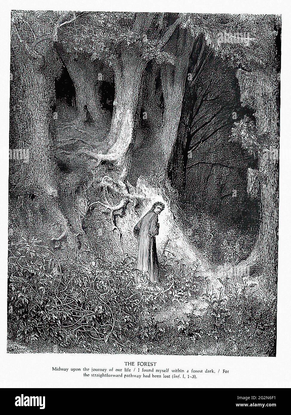 Gustave dore forest hi-res stock photography and images - Alamy