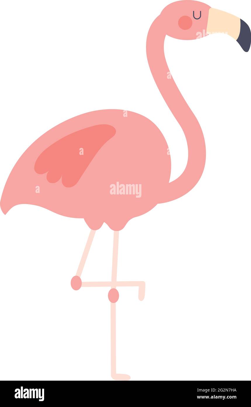 pretty pink flamingo Stock Vector Image & Art - Alamy