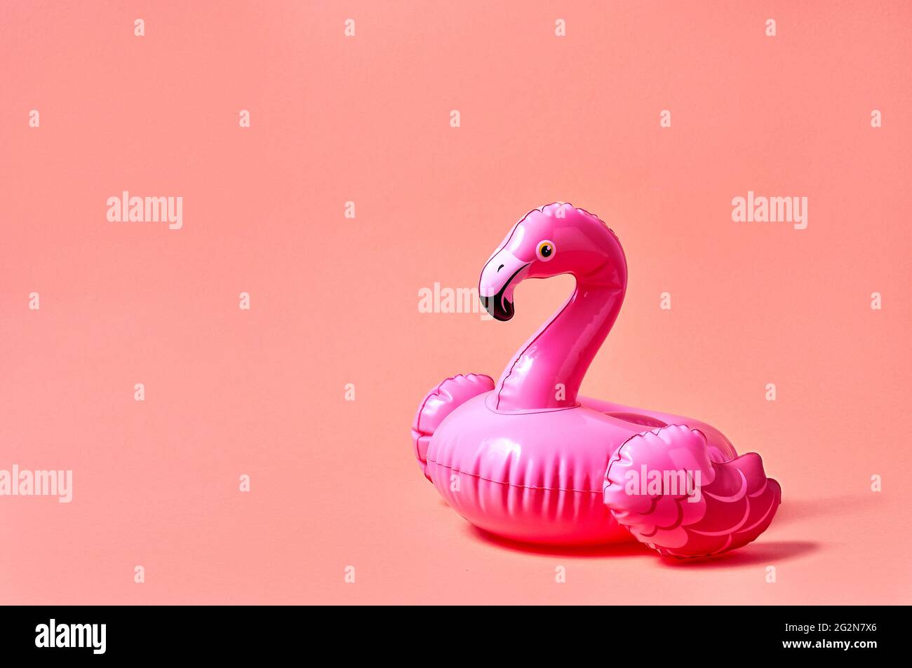 Inflatable pink flamingo pool toy on pink background. Creative minimal ...
