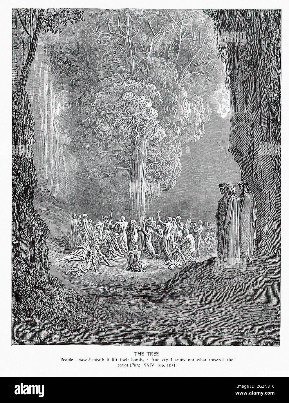 Gustave Doré - Tree Stock Photo - Alamy