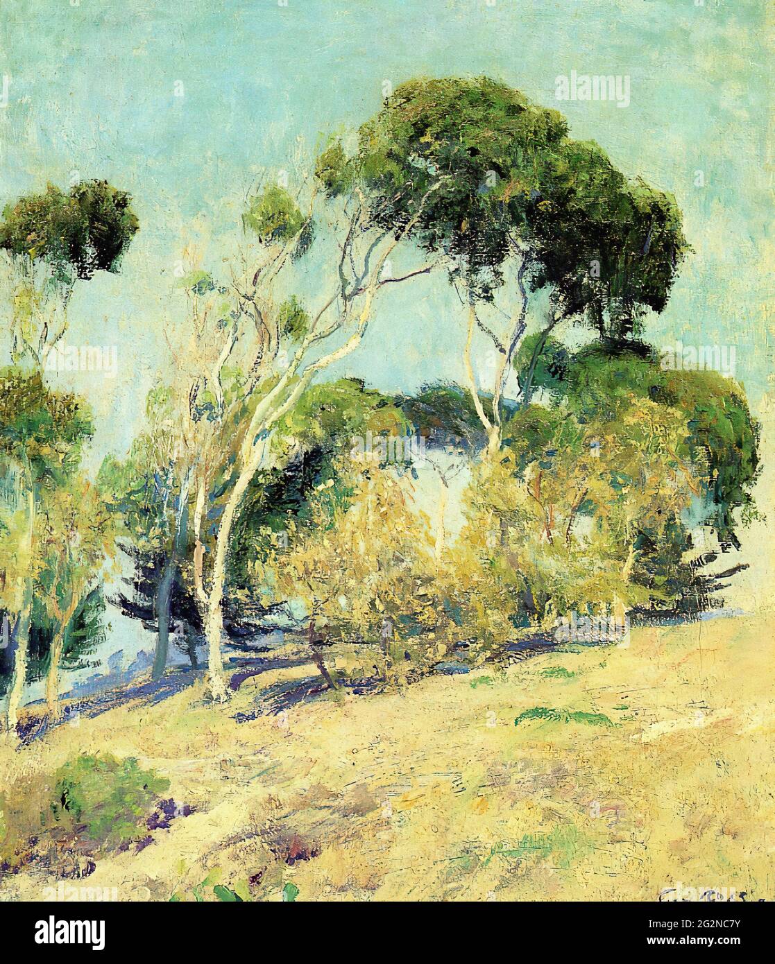 Guy Orlando Rose - Windswept Trees Laguna Stock Photo - Alamy