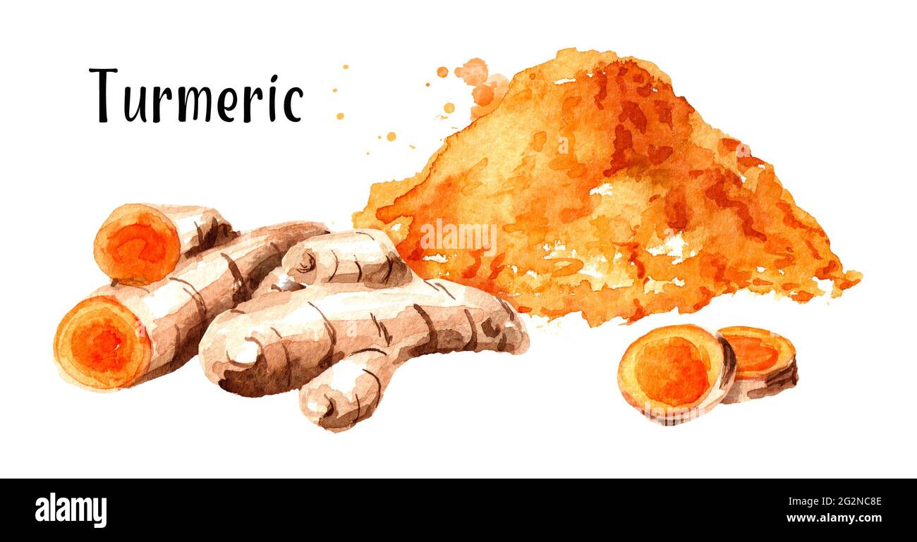 Turmeric root and powder. Watercolor hand drawn illustration isolated ...