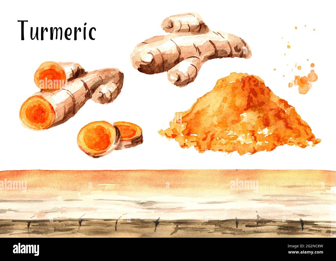 Turmeric root background elements. Watercolor hand drawn illustration ...