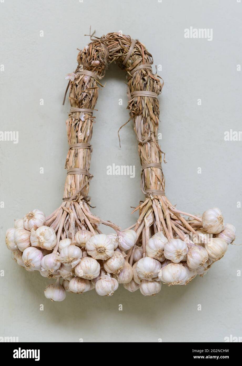 Homegrown organic garlic hanging in the kitchen Stock Photo - Alamy