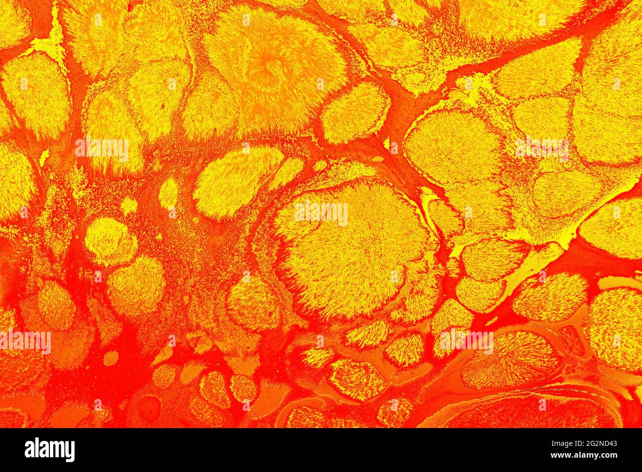 Illustration of circles with bright red and golden paints on canvas ...