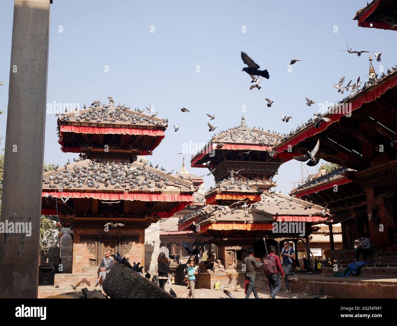 Pigeon flying in kathmandu temple hi-res stock photography and images ...