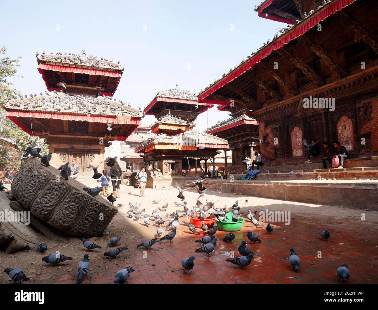 Pigeon flying in kathmandu temple hi-res stock photography and images ...