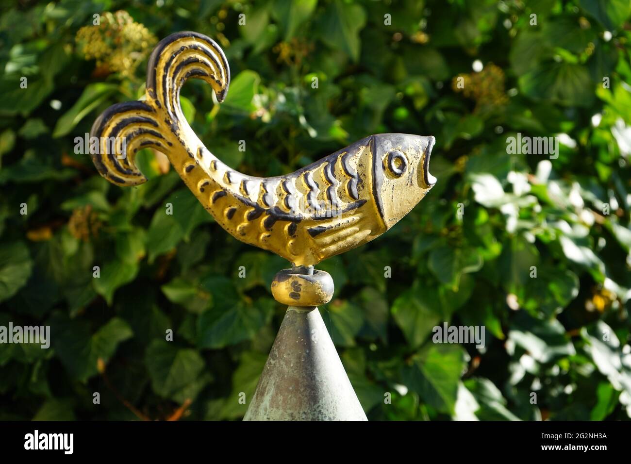 Fish cemetery hi-res stock photography and images - Alamy