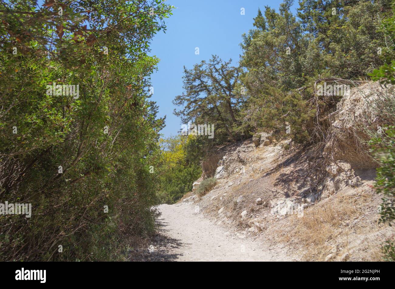 The hiking trail is surrounded by dense vegetation and steep cliffs in ...