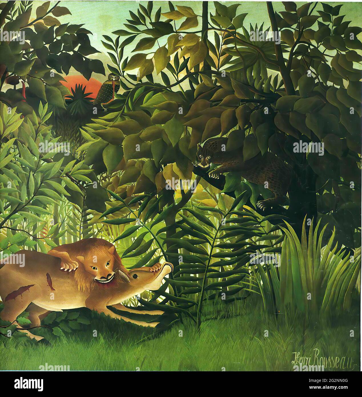 Douanier rousseau lion hi-res stock photography and images - Alamy