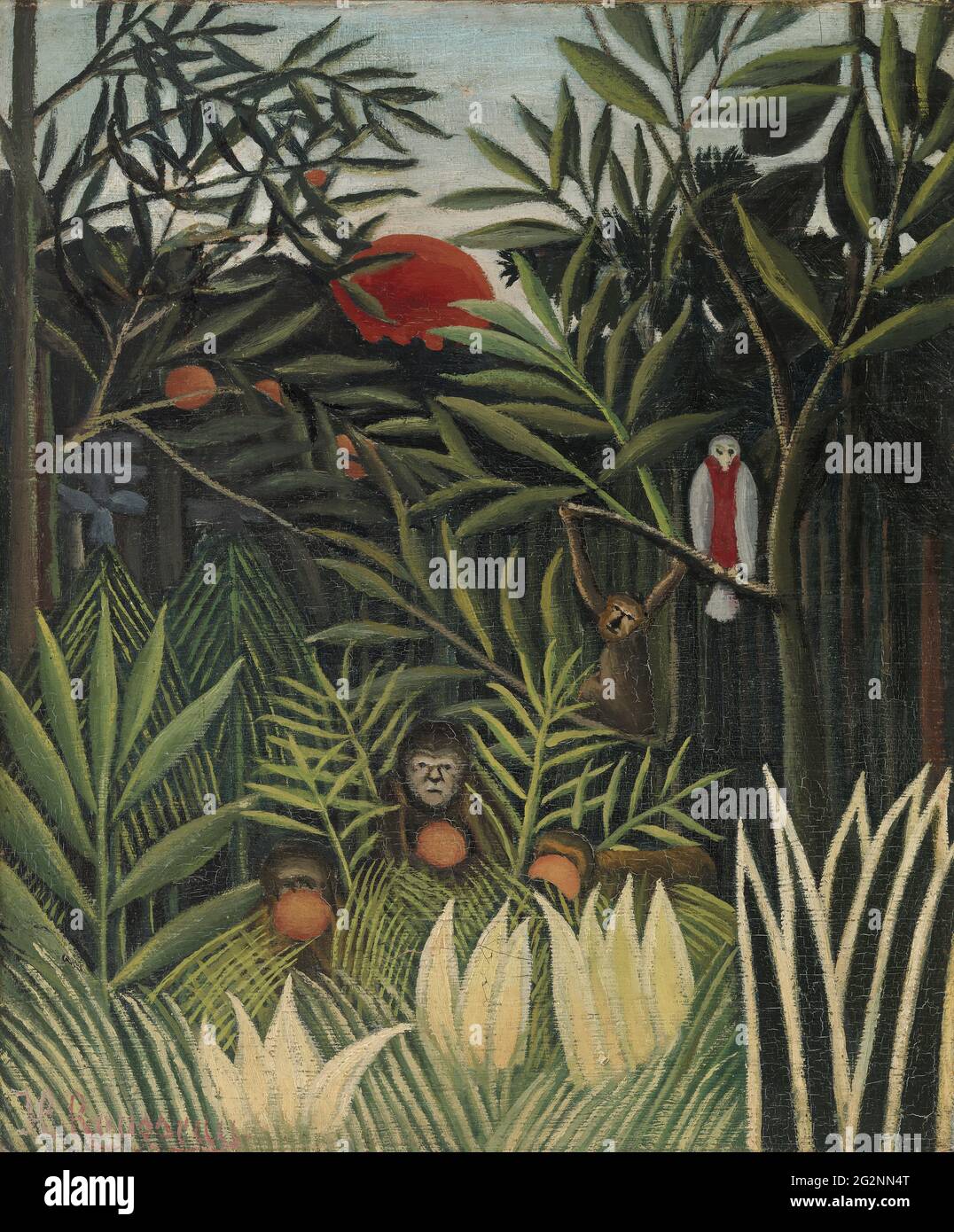 Henri Rousseau a.K.a Le Douanier Rousseau - Monkeys and Parrot in the ...