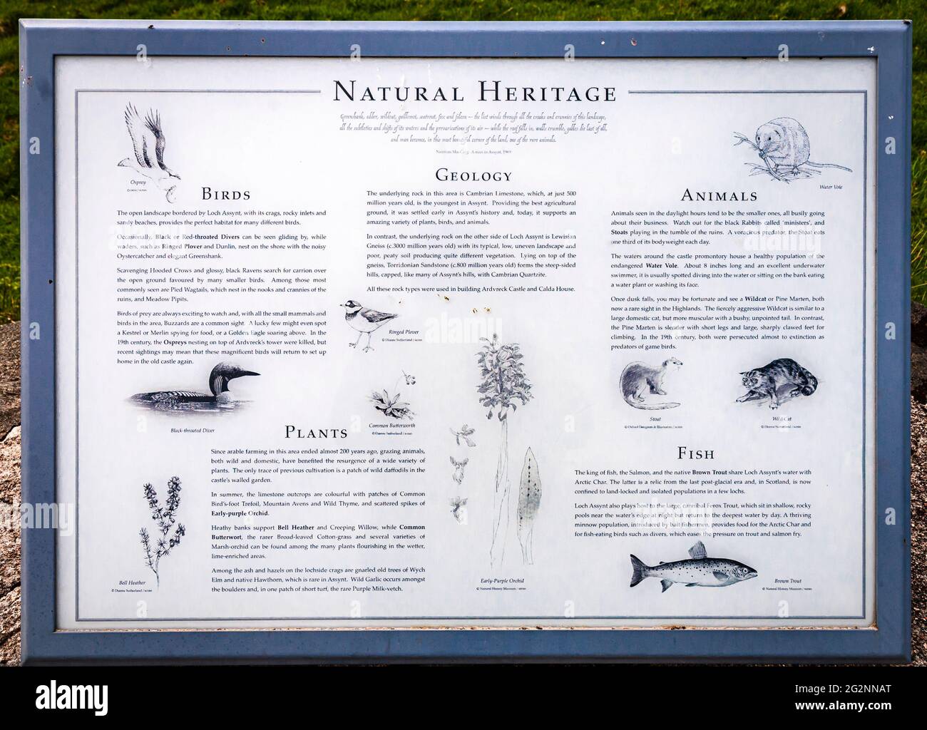 Historical information boards hi-res stock photography and images - Alamy