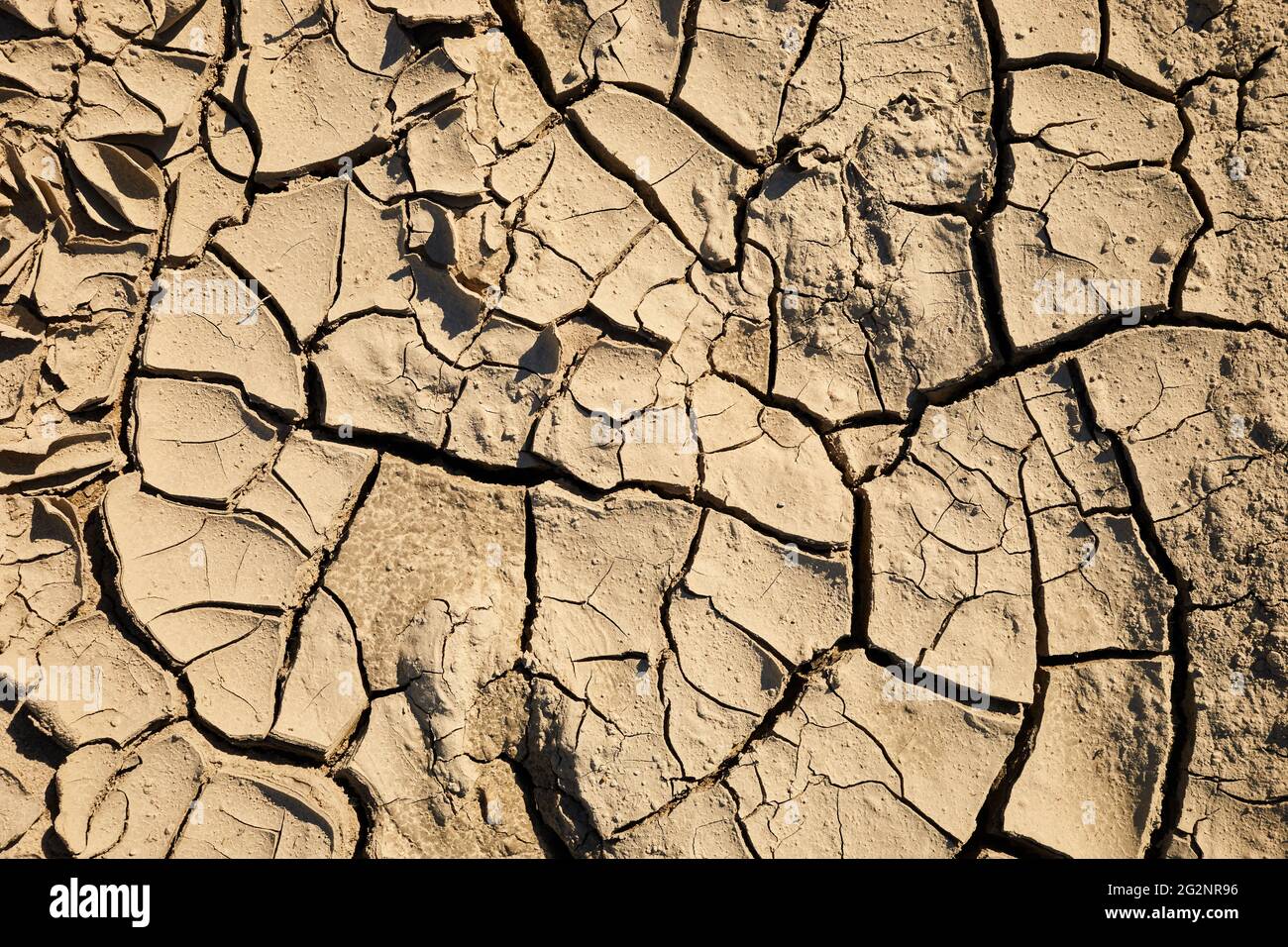 Cracked earth background. Parched Earth. Soil sonservation erosion ...