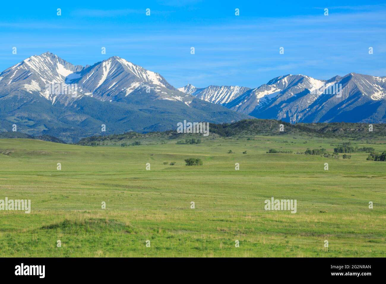 crazy mountains above prairie near big timber, montana Stock Photo - Alamy