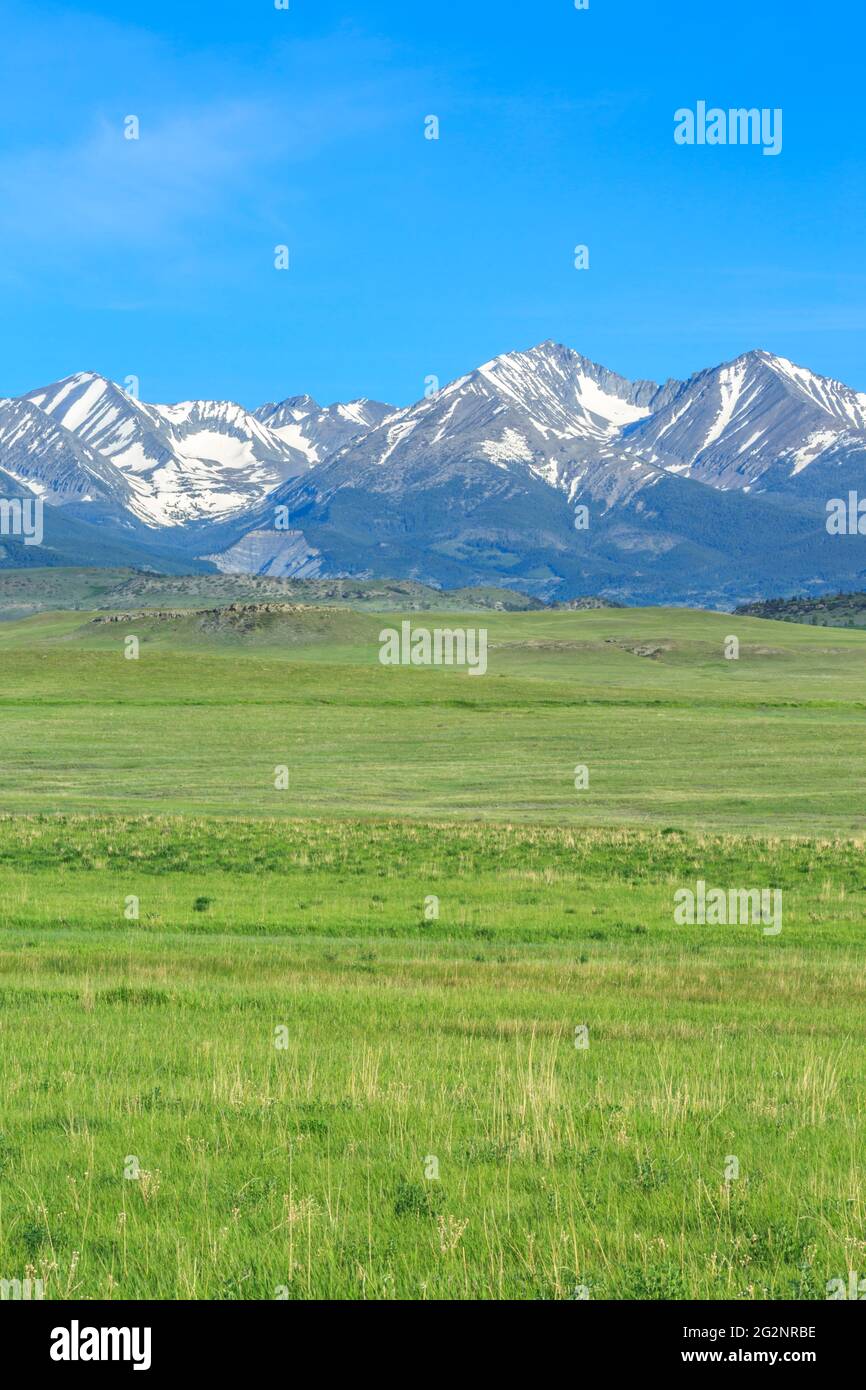 crazy mountains above prairie near big timber, montana Stock Photo - Alamy