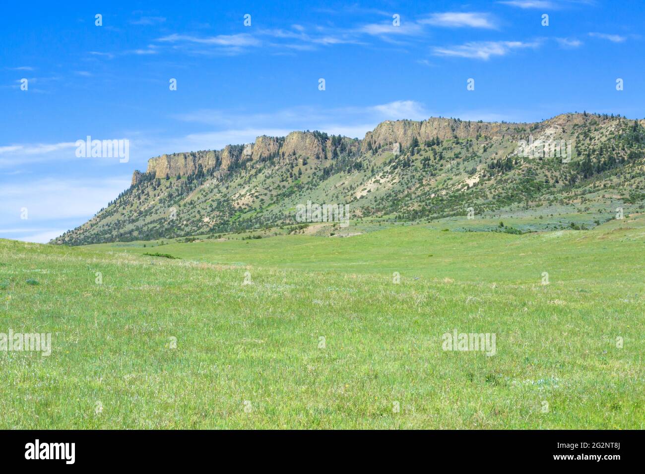 Big sky montana sheep hi-res stock photography and images - Alamy