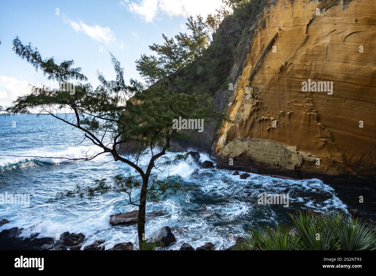 Le Cap Jaune at Saint Joseph Stock Photo - Alamy