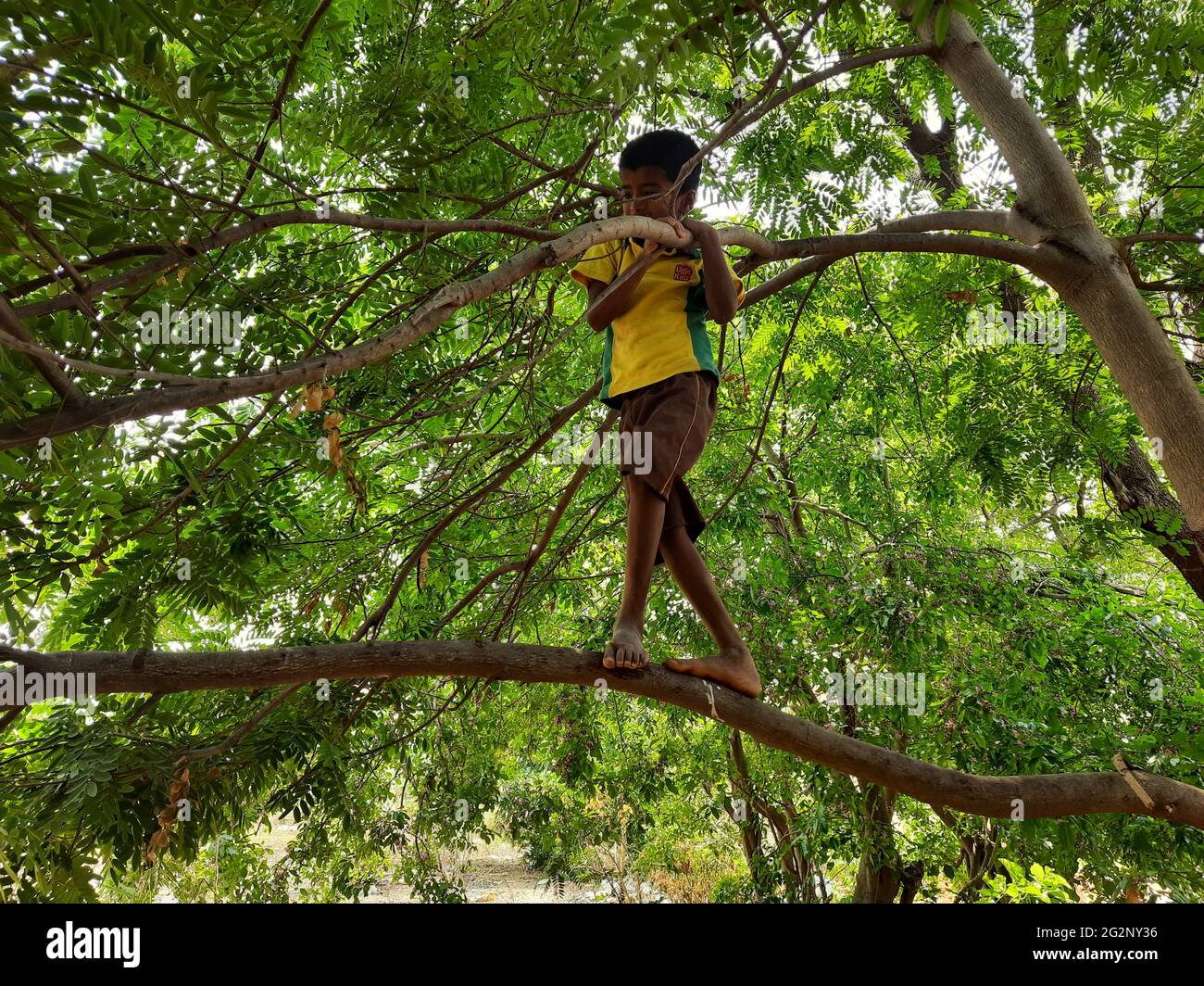 BANGALOR, INDIA - Apr 10, 2021: Bangalore, Karnataka, India-Apr 10 2021 ...