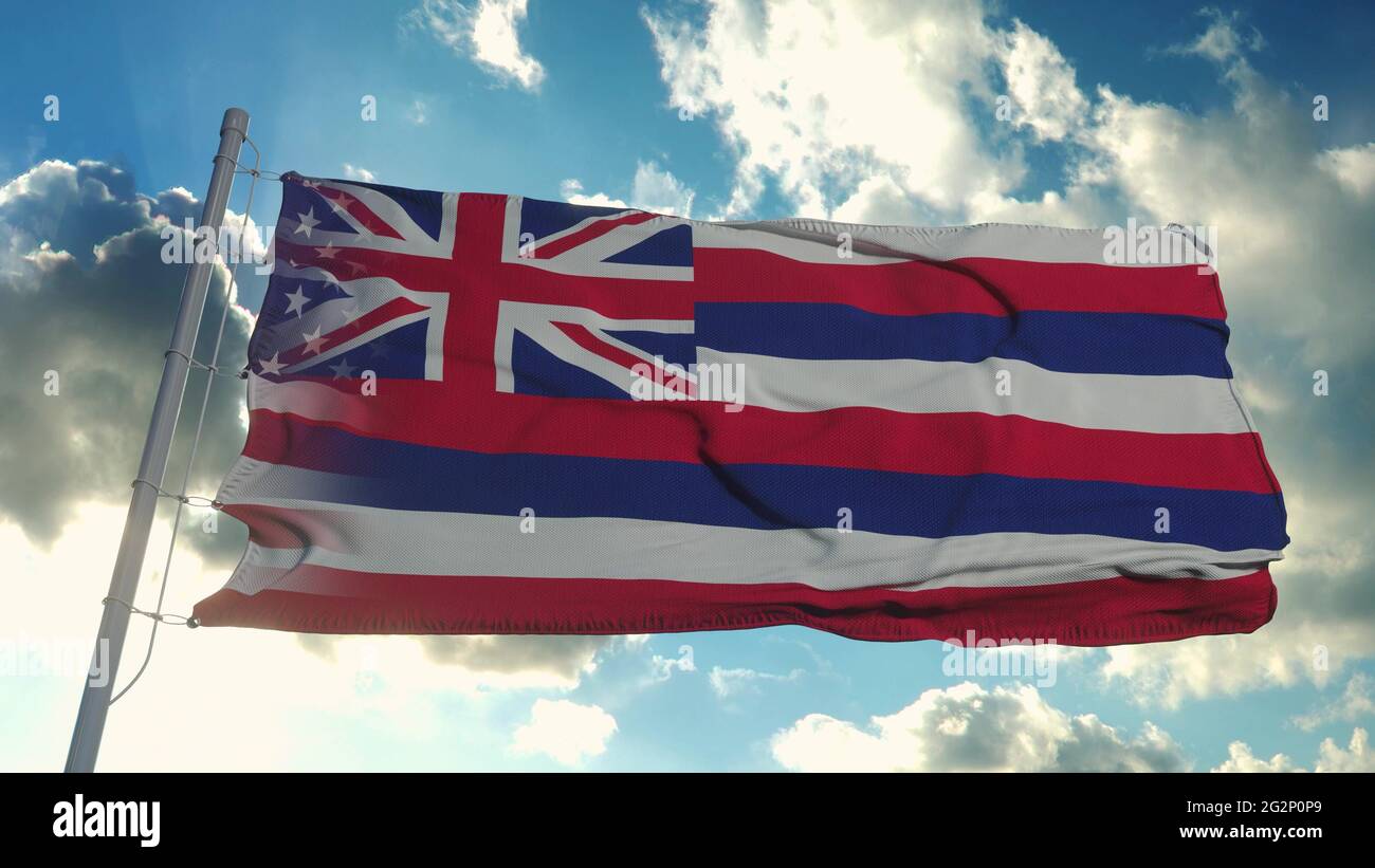 Flag of USA and Hawaii state. USA and Hawaii Mixed Flag waving in wind ...